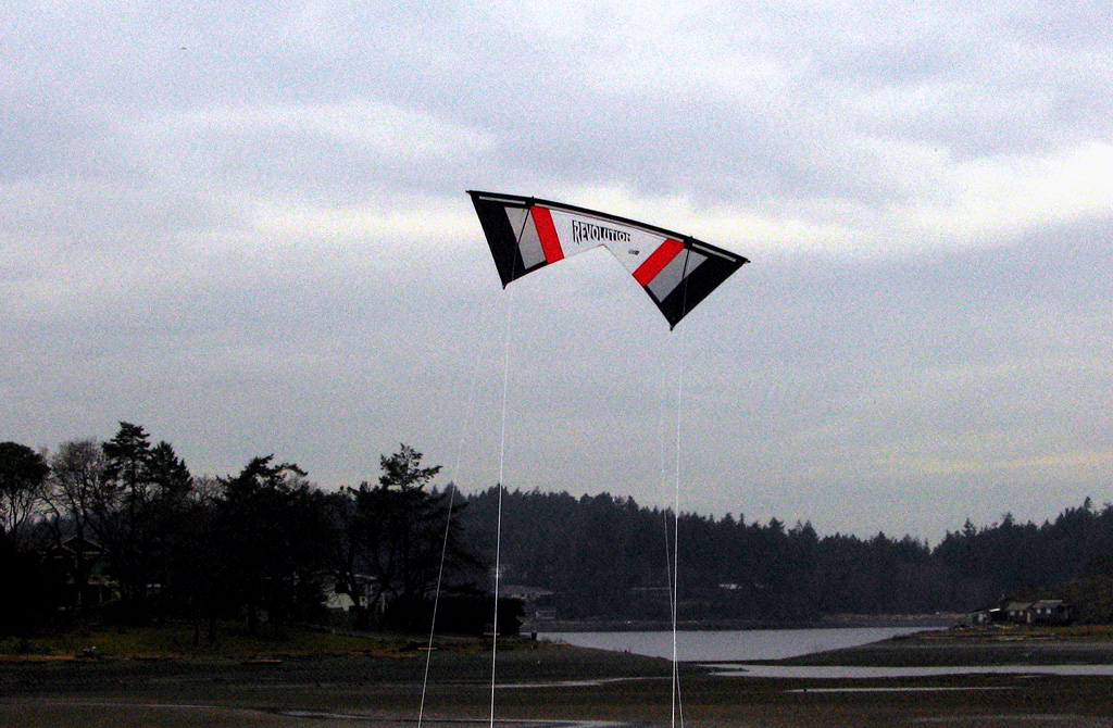 Mylar panels on a 1.5 - Modifications - Revolution Forum